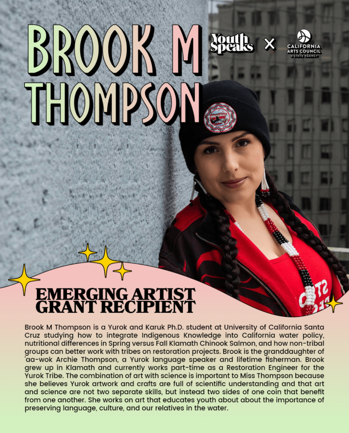 California Arts Council’s Individual Artist Fellowship Program